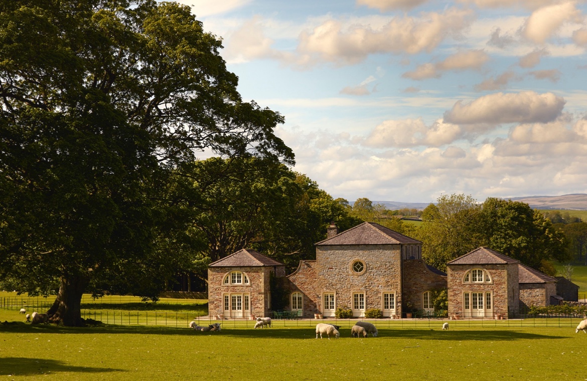 Re-brand and website for The Big House Experience | 3sixty